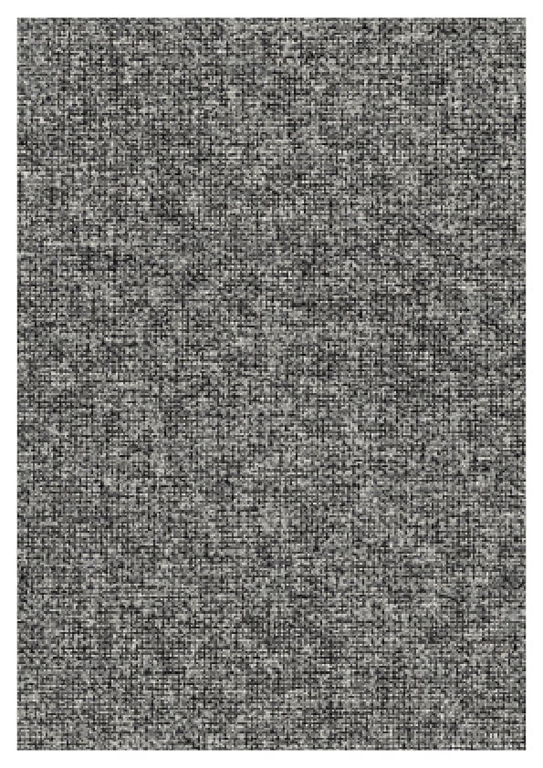 BEACH BIW-1524_Elephent Grey | BIW